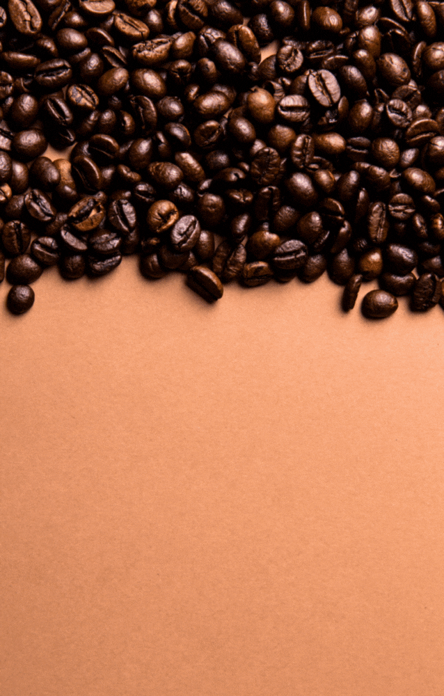 Pangea’s Best Beans || Delivered Right To Your Door – Pangea Coffee Co.